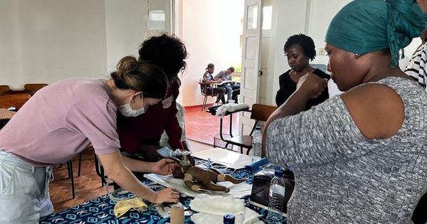 PRN-SBP treina 31 médicos e 27 profissionais da enfermagem em Beira ...